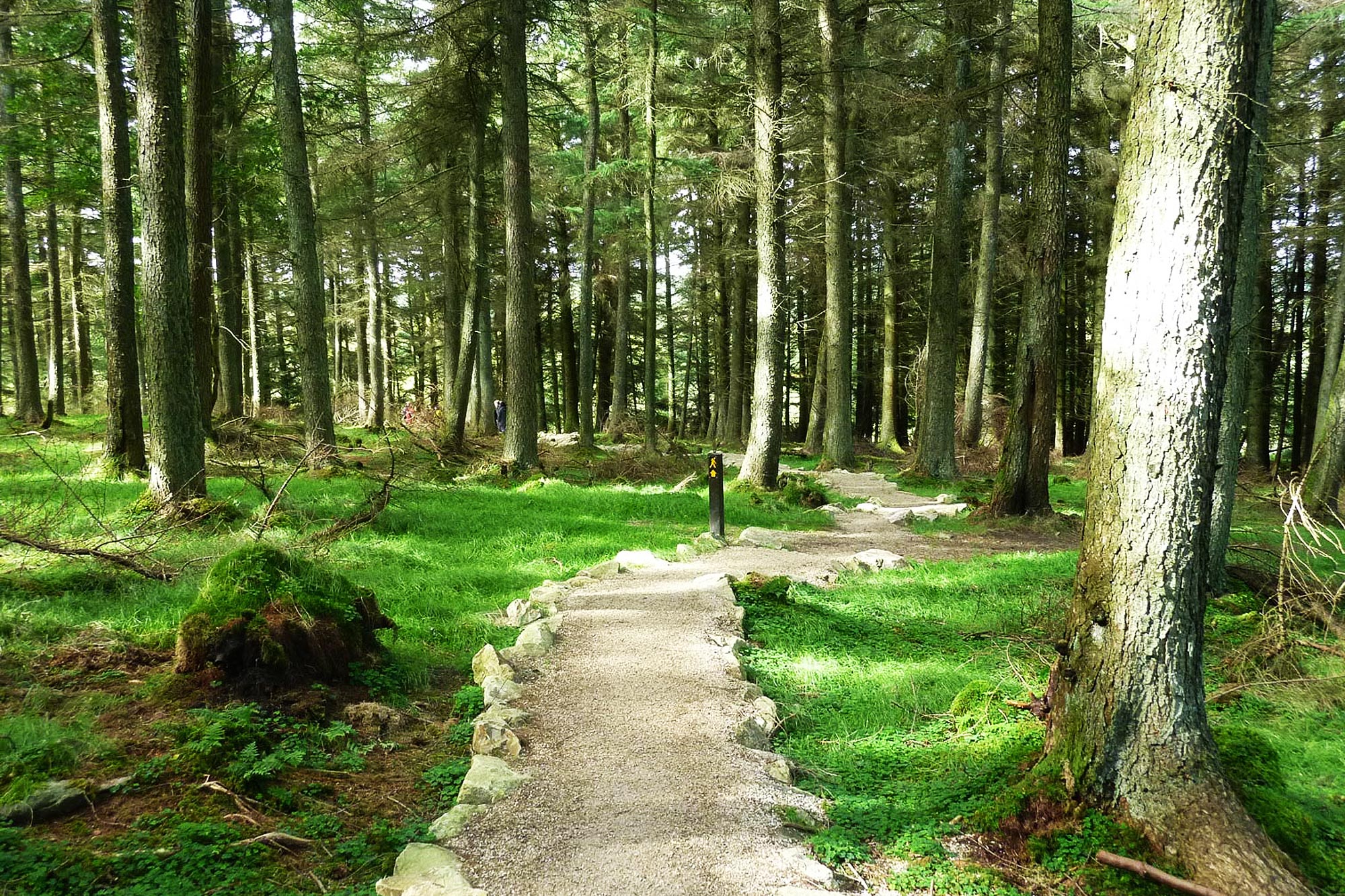Hiking in Dublin | Dublin Mountains | Walking Tours Dublin