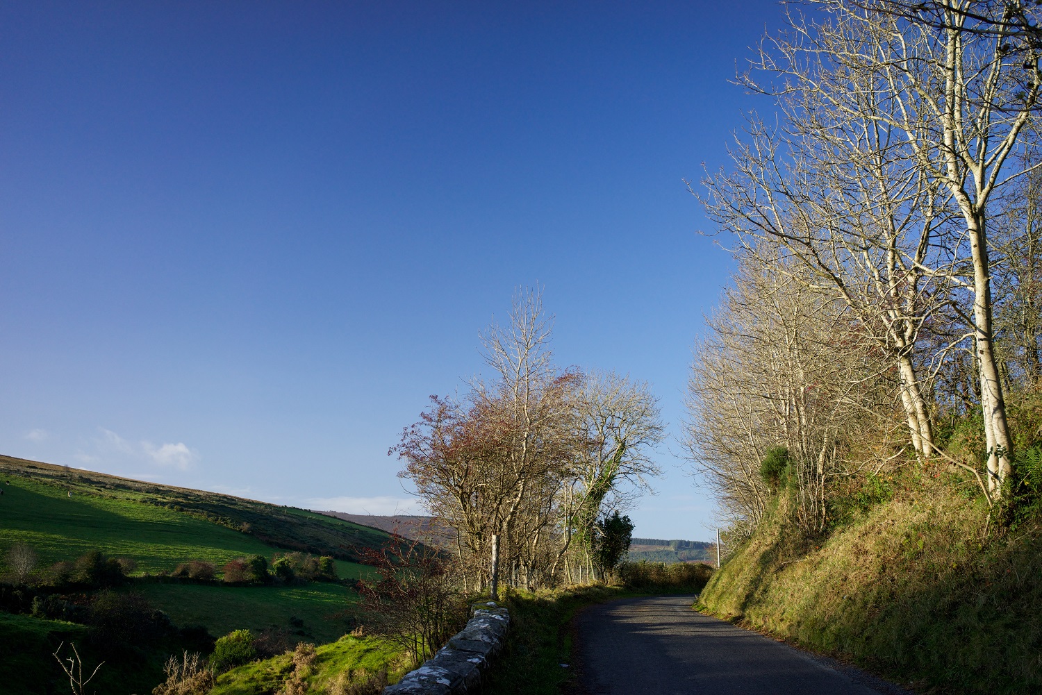Dublin Mountains Partnership | Dublin Mountains | Hike Ireland